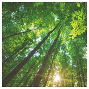 Rohan Harita Phase 1 in Tathawade, Pune - Price, Reviews & Floor Plan