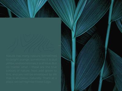 High Rise Highrise Forest Edge in Kuntloor, Hyderabad - Price, Reviews ...