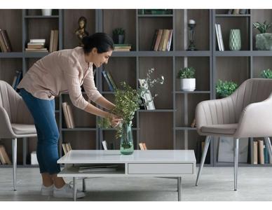 Rayala Livium in Harlur, Bangalore - Price, Reviews & Floor Plan