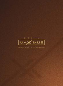 Basil Maximus Brochure Punawale, Pune