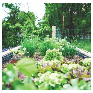 SDMV Elite in Electronic City Phase II, Bangalore - Price, Reviews ...