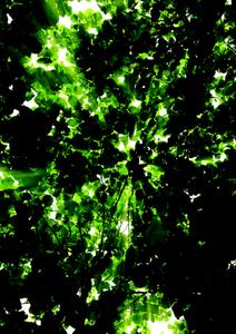 Manbhum Home Tree in Kompally, Hyderabad - Price, Reviews & Floor Plan