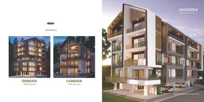 Ssrn Infracon Llp The Whispering Pines in Patta, Solan - Price, Reviews ...