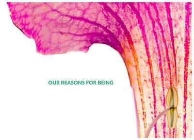 ZED Earth in Suradhenupura, Bangalore - Price, Reviews & Floor Plan